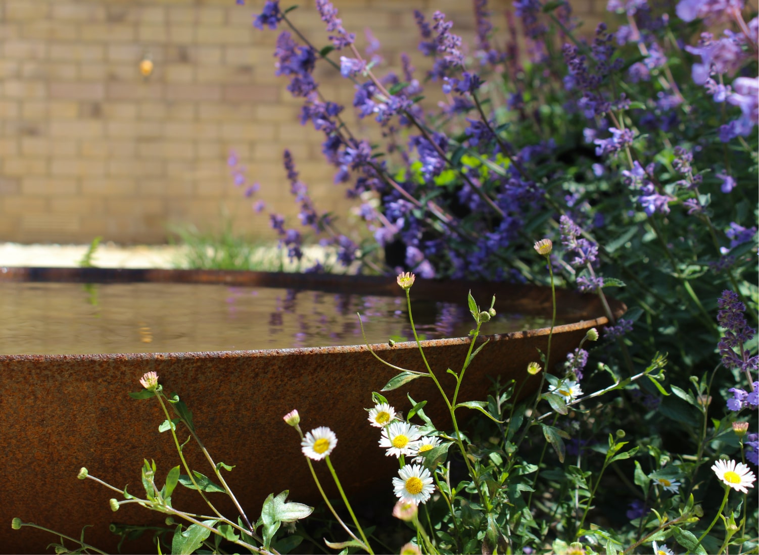 Viridis | Garden Design in Bath & Bristol
